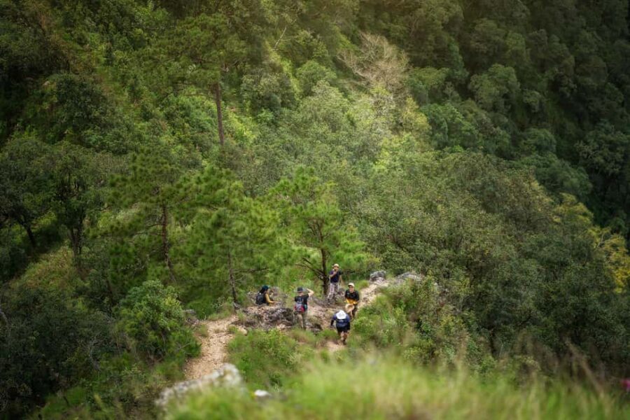 Chiang Mai : Thep Sadet & Coffee Plantation Full Day Hiking - Visiting Thepsadet Coffee: Authentic & Tasty