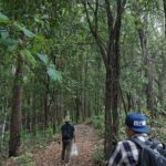 Chiang Mai Trekking Tour :Full day (no rafting) - Transportation and Group Size