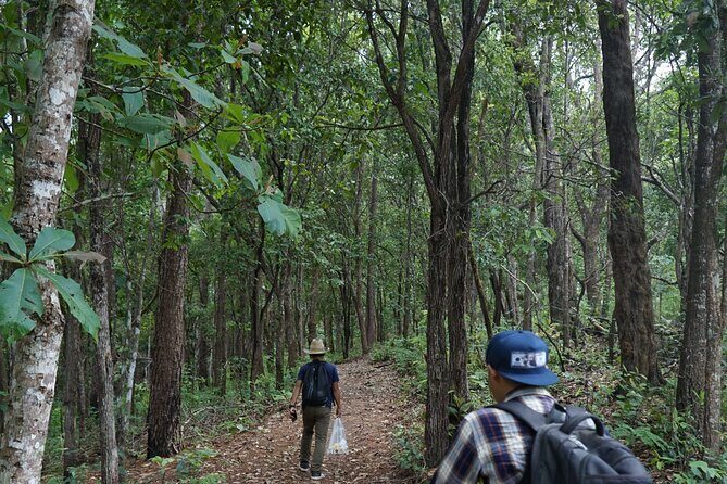 Chiang Mai Trekking Tour :Full day (no rafting) - Transportation and Group Size