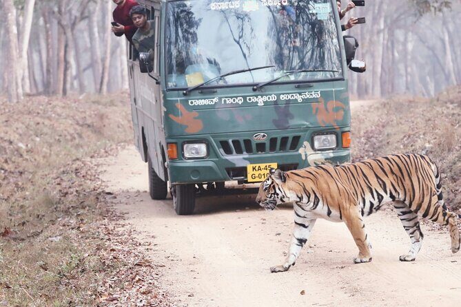 Chitwan jungle safari with canoe river ride - What Makes This Tour Stand Out?