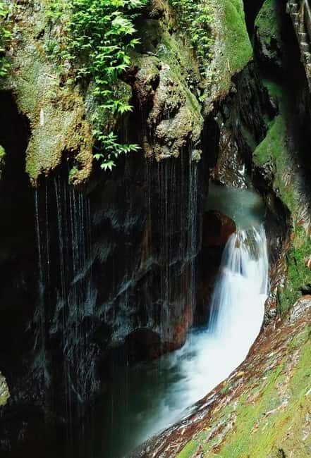 Chongqing: Wulong 2-Day Tour with Boat Cruise - Exploring Wulong: A Natural and Cultural Treasure