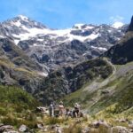 Christchurch: Arthurs Pass & Castle Hill Private Tour - The Return Journey and Final Thoughts