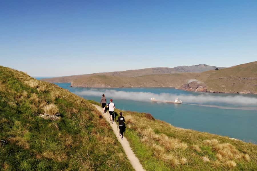 Christchurch: Guided Crater Rim Walk with Coastal Scenery - Key Points
