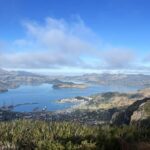 Christchurch: Port Hills Full-Day Trail Running Tour - Who Is This Tour Best For?