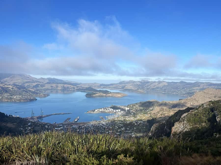 Christchurch: Port Hills Full-Day Trail Running Tour - Who Is This Tour Best For?