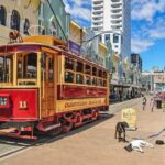 Christchurch: Private City Day Tour - Practical Details and Tips for the Tour