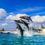 Churaumi Aquarium, Cape Manzamo, American Village - Who Is This Tour Best For?