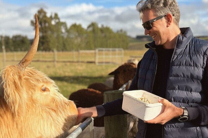 Coach Farm Tour and Milford Sound Nature Cruise from Queenstown - The Value of This Tour