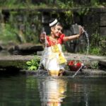 Cochin: 5-Day Kerala Tour with Houseboat and Wildlife - What Makes This Tour Stand Out