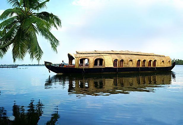 Cochin: Alleppey Backwater Private Day Cruise by Houseboat - What Makes This Tour Special?