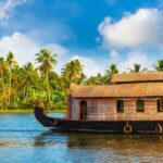 Cochin: Alleppey Houseboat Day Cruise with Lunch - Detailed Itinerary Breakdown