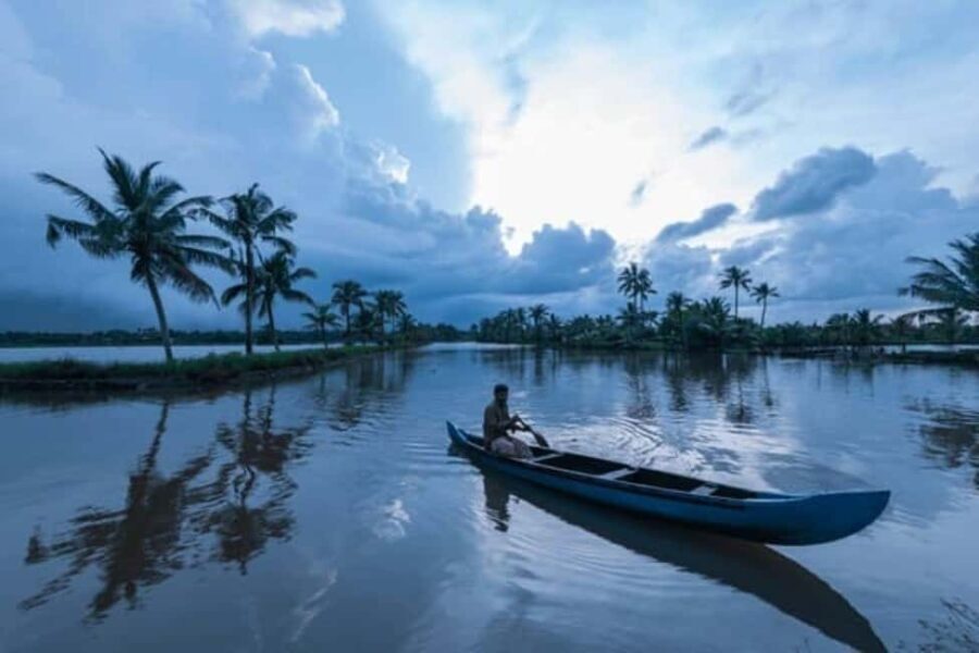 Cochin Backwaters Tour: Eco Boat Ride & Traditional Lunch - Exploring Kerala’s Backwaters: What You Can Expect