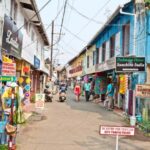 Cochin Private Shore Excursion Expedition with Harbor Cruise - Key Points