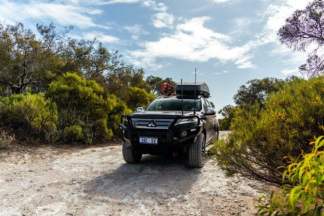 Coffin Bay Tour with Oyster Shucking and Off Road Adventure - The Sum Up