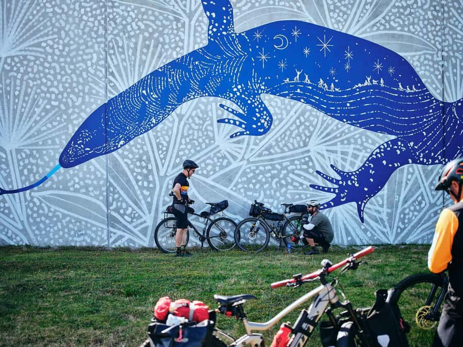Collie: Mural Town Tour - The Practicalities: What to Know Before You Go