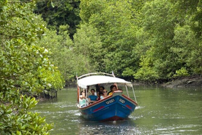 Combo - Cable Car & Sky Bridge And Tg. Rhu Mangrove Private Boat Tour With Lunch - Exploring the Itinerary in Detail