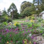 Como House: Guided Garden Tour - The Sum Up