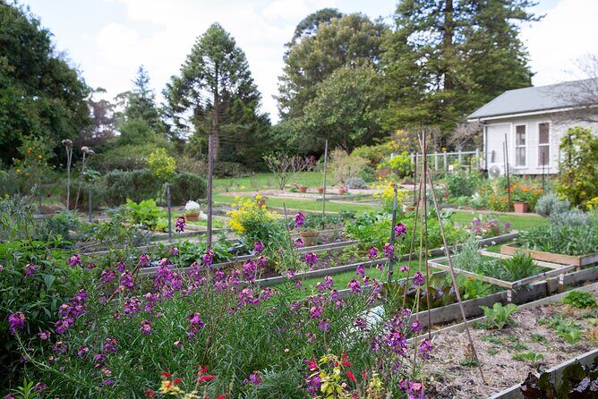 Como House: Guided Garden Tour - The Sum Up