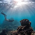 Coral Bay: Full Day Ningaloo Reef with Manta Rays Tour - The Practicalities