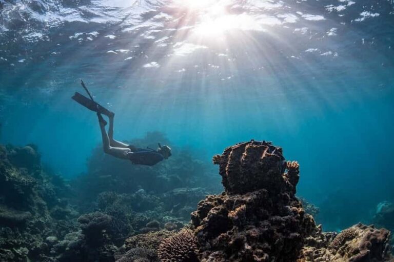 Coral Bay: Full Day Ningaloo Reef with Manta Rays Tour - The Practicalities