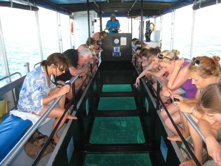Coral Bay Glass-Bottom Boat Tour - The Experience from the Crew’s Perspective