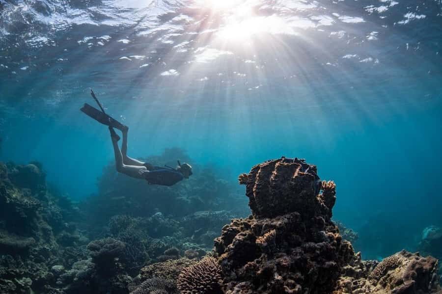 Coral Bay: Half Day Ningaloo Reef Adventure with Manta Rays - What Sets This Tour Apart?