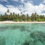 Coron: Reefs and Wrecks Tour with Snorkeling Equipment - Is This Tour Worth It?