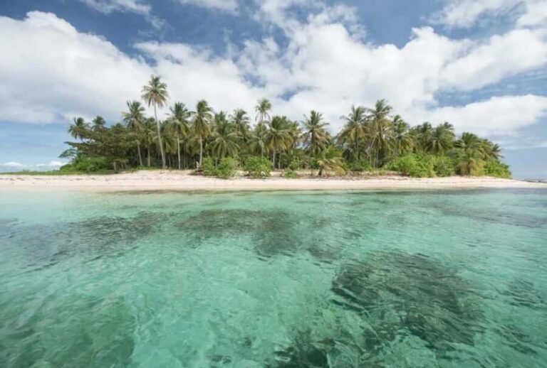 Coron: Reefs and Wrecks Tour with Snorkeling Equipment - Is This Tour Worth It?