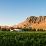 Craggy Range Deluxe, x2 winery tastings + Te Mata Peak - What Sets This Tour Apart?