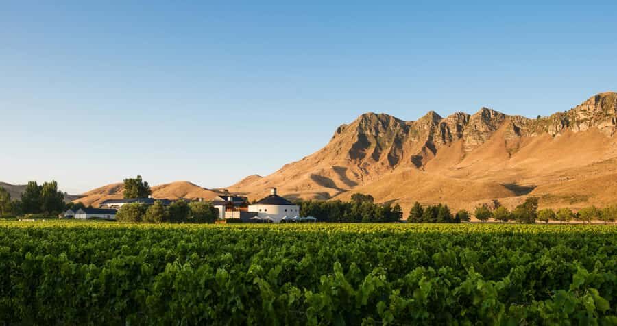 Craggy Range Deluxe, x2 winery tastings + Te Mata Peak - What Sets This Tour Apart?