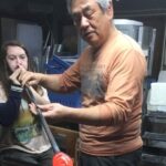 Create Your Own Glass Cup and See Seto's Lucky Cats in Japan - The Sum Up: Why Choose This Experience?