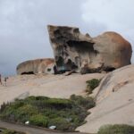 Cruise Ship Flinders Chase Tour - Who Will Enjoy This Tour?