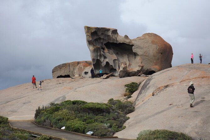 Cruise Ship Flinders Chase Tour - Who Will Enjoy This Tour?