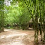 Cu Chi Tunnel Half Day - Small Group Tour - Return and Drop-Off