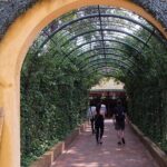 Cu Chi Tunnels By Motorbike and Scooter - What Makes This Tour Stand Out?