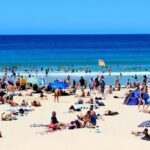 Customizable Luxury Sydney City Sightseeing Tour - Who Is This Tour Best For?