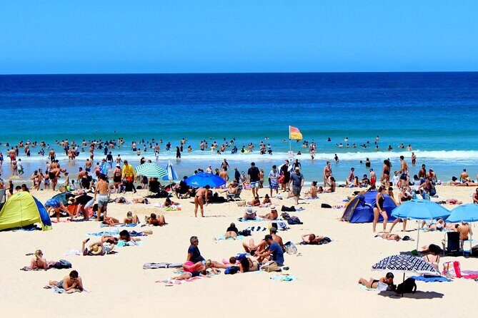 Customizable Luxury Sydney City Sightseeing Tour - Who Is This Tour Best For?