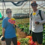 Da Lat Countryside exploring on Bike - Final Thoughts: Is This Tour Right for You?