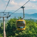 Daegu Day Tour with 83 Tower Visit & Palgongsan Cable Car - Exploring Daegu’s Cultural Heart: Kim Gwang-seok Street & Seomun Market