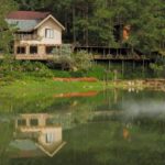 Dalat: Instagramable Tour with Hidden Gem Café - What to Expect: A Closer Look at the Itinerary