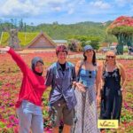 Dalat Top Tourists Sights - Waterfall - Mario Kart - Datanla Waterfall and Alpine Coaster: A Natural and Thrilling Start