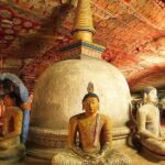 Dambulla, Sigiriya and Pidurandala Day Tour with a verified tour guide - What Reviewers Love Most