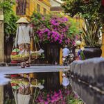 Danang: Hoi An, Marble Mountains or Bay Mau Coconut Forest - The Value for Money