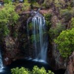 Darwin: Litchfield National Park Waterfalls & Wildlife Tour - The Highlights in Detail