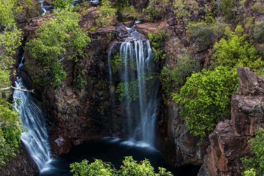 Darwin: Litchfield National Park Waterfalls & Wildlife Tour - The Highlights in Detail