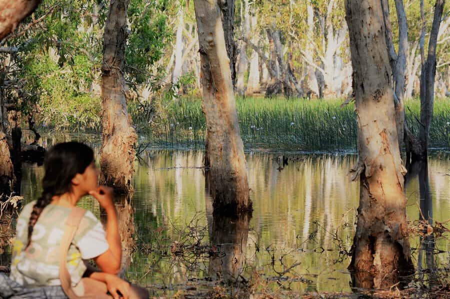 Darwin: Premium Litchfield Regional Small Group Day Tour - Why This Tour Offers Great Value