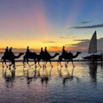 Darwin: Sunset Camel Ride along Mindil Beach - Wildlife and Scenic Views