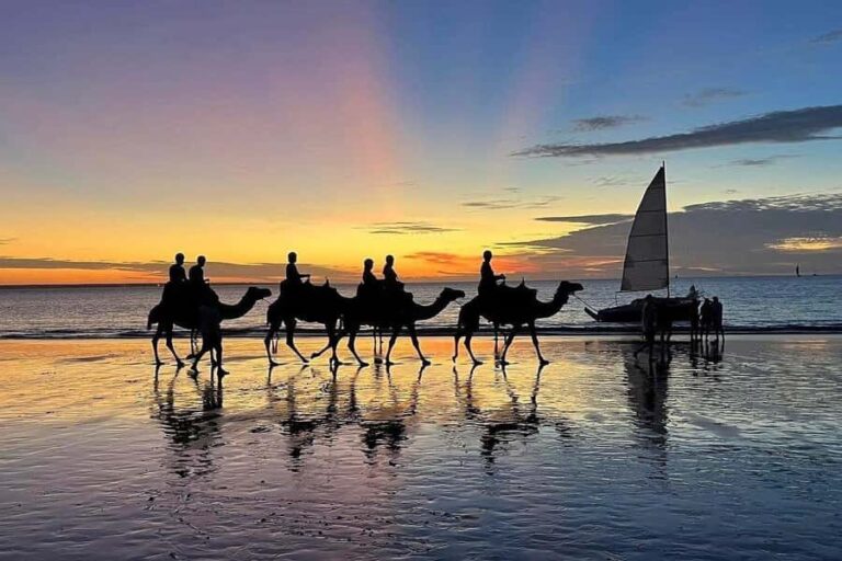 Darwin: Sunset Camel Ride along Mindil Beach - Wildlife and Scenic Views