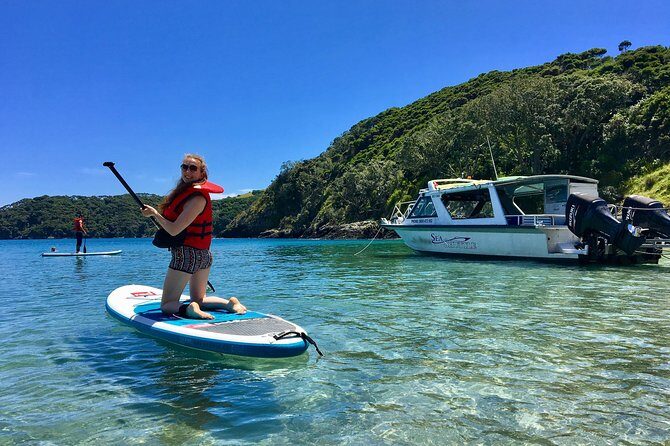 Day Cruise & Island Tour - Snorkel/Wildlife/Paddleboard/Islands - The Value of This Tour