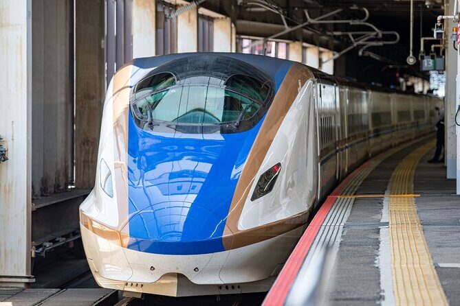 Day Trip Iiyama in Nagano Temple and Sake Brewery from Tokyo - Pricing and Value